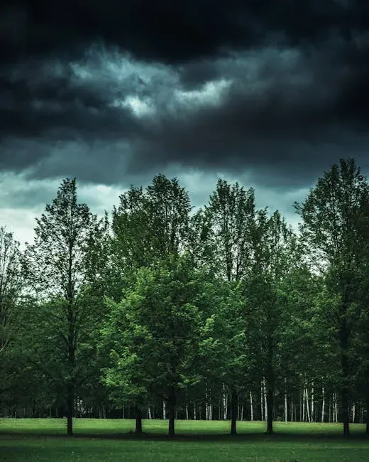 8 warning signs in local weather experts say you should never ignore