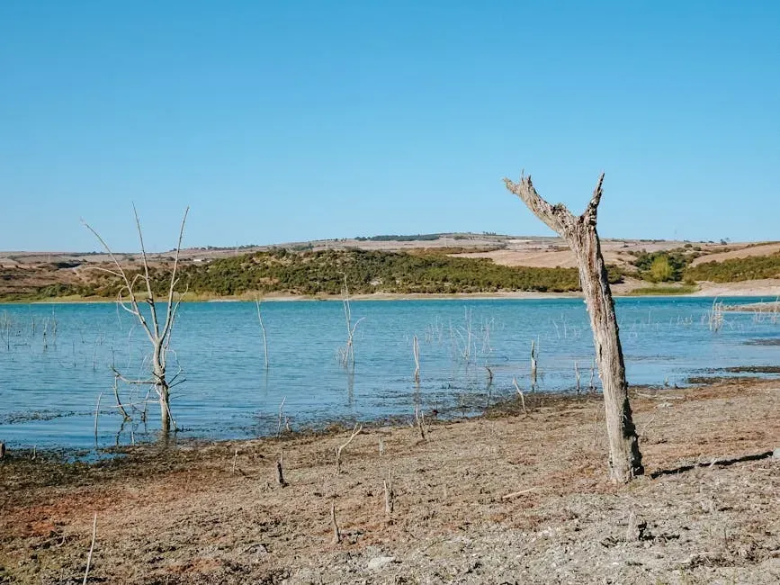 10 natural resources experts say we're using too fast