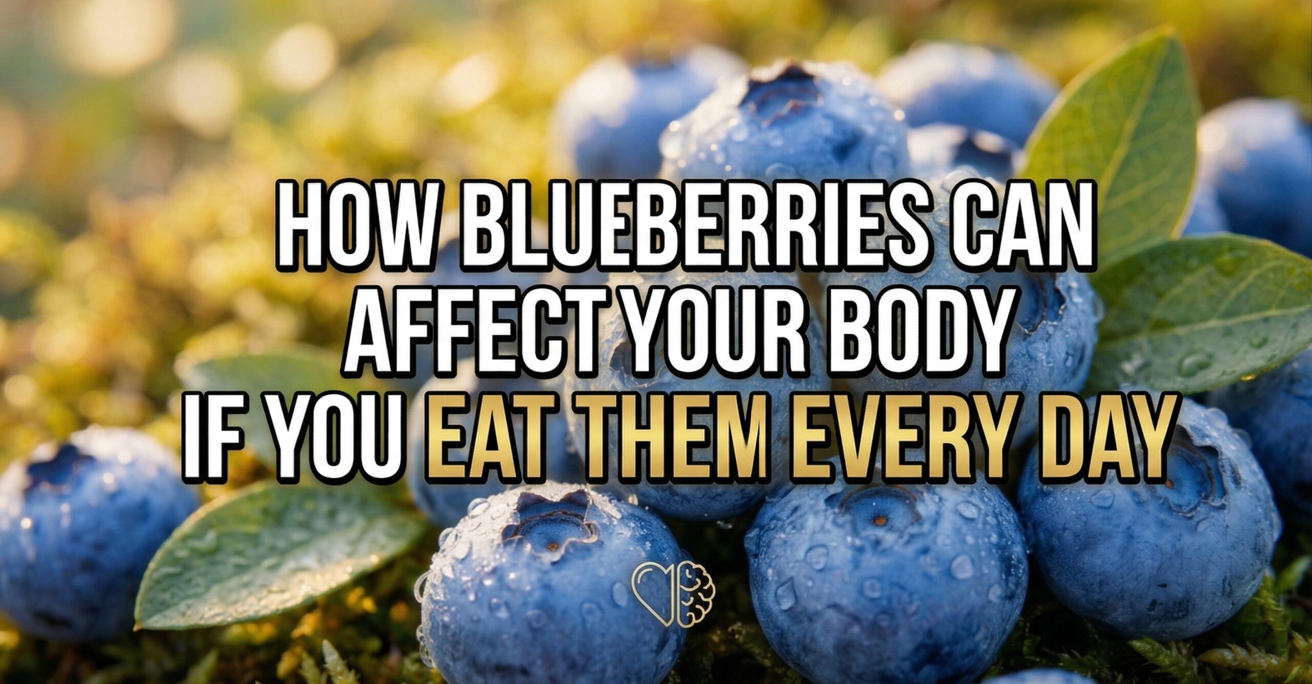 How blueberries can affect your body if you eat them every day