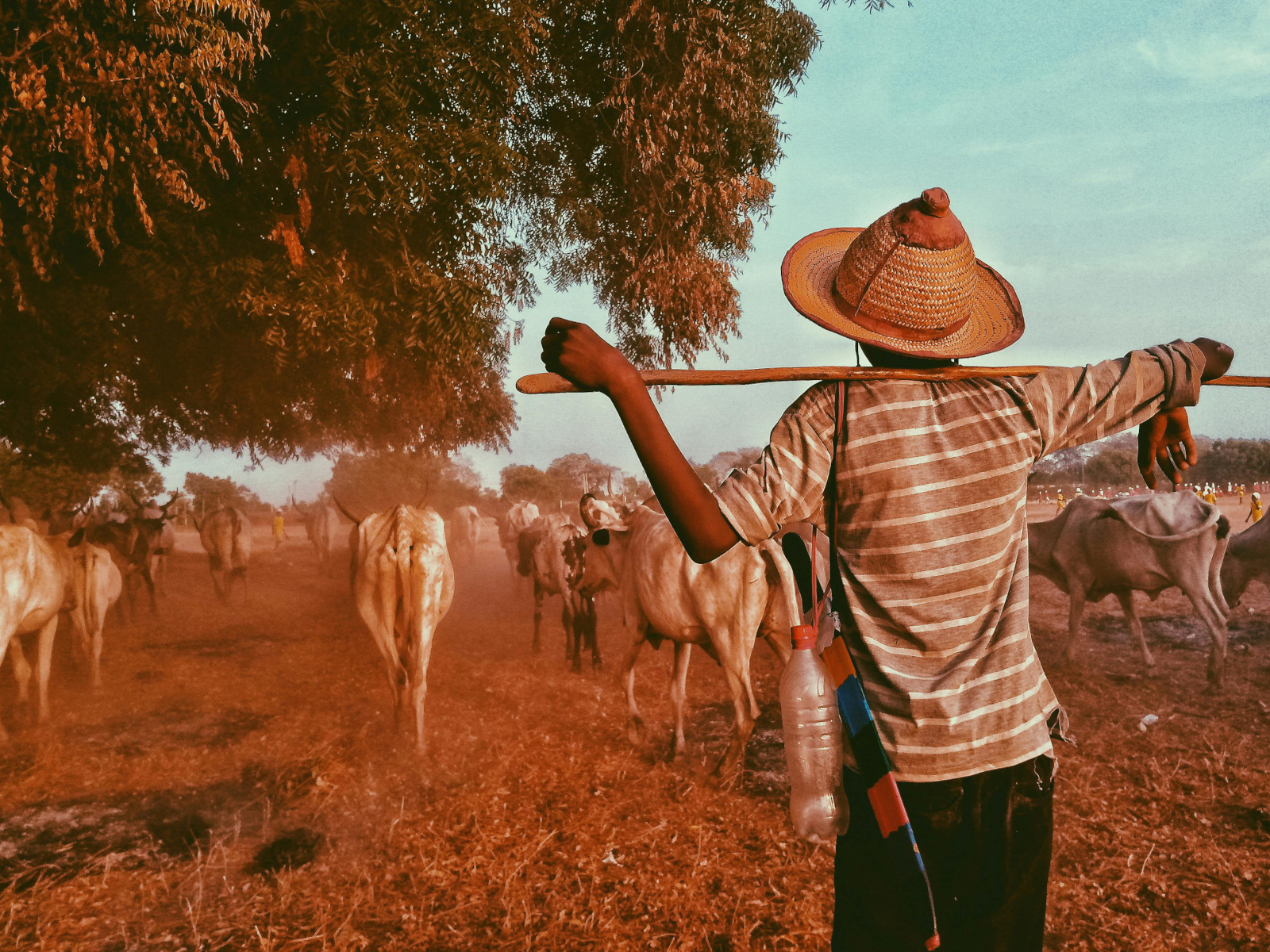 Extreme weather threatens to wipe out South African food supplies
