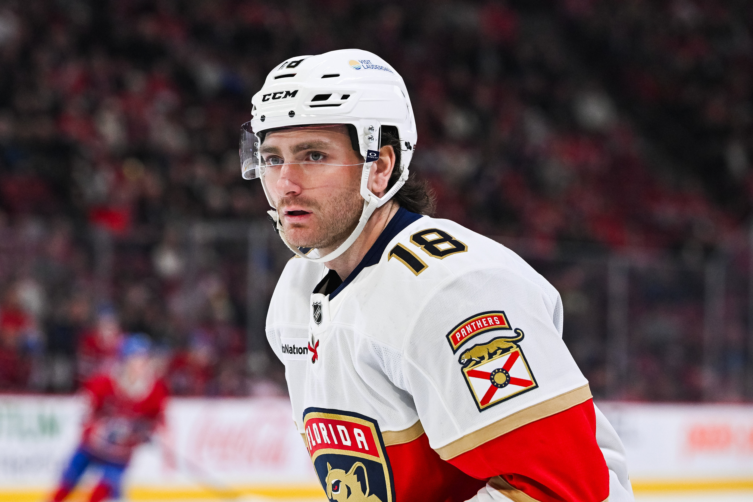 Panthers recall Noah Gregor