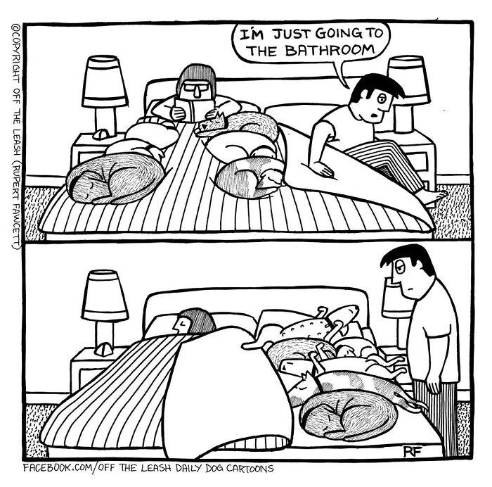 34 cartoons that might totally hit home for dog owners
