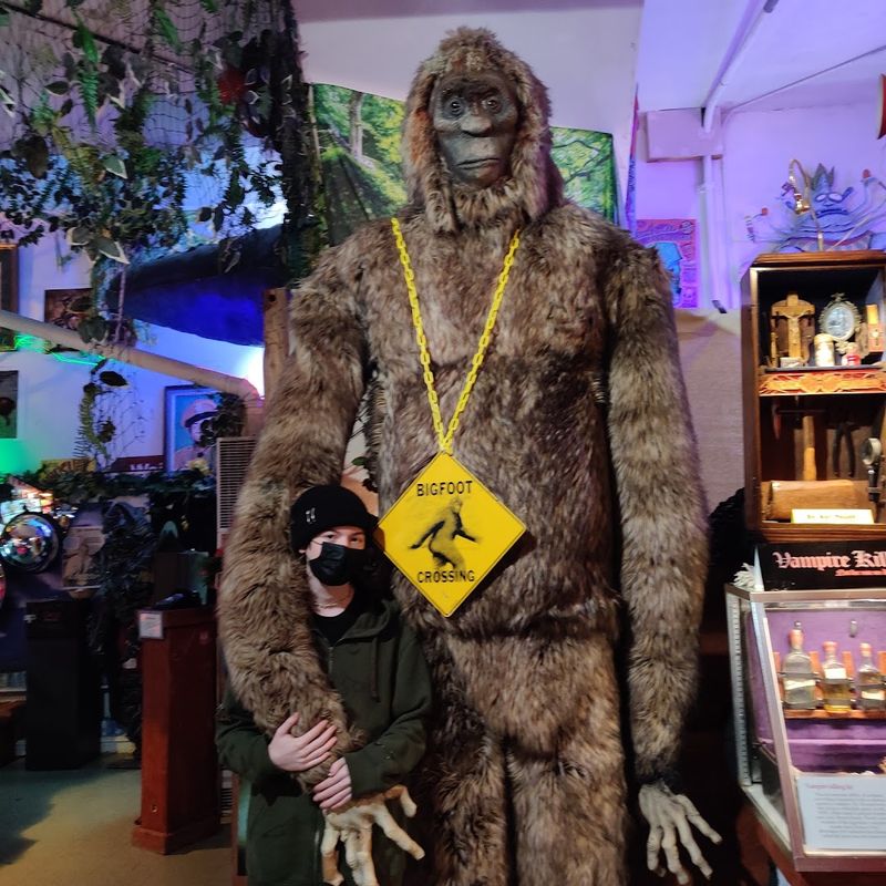 10 mystical Oregon oddities shops that feel like stepping into a ...