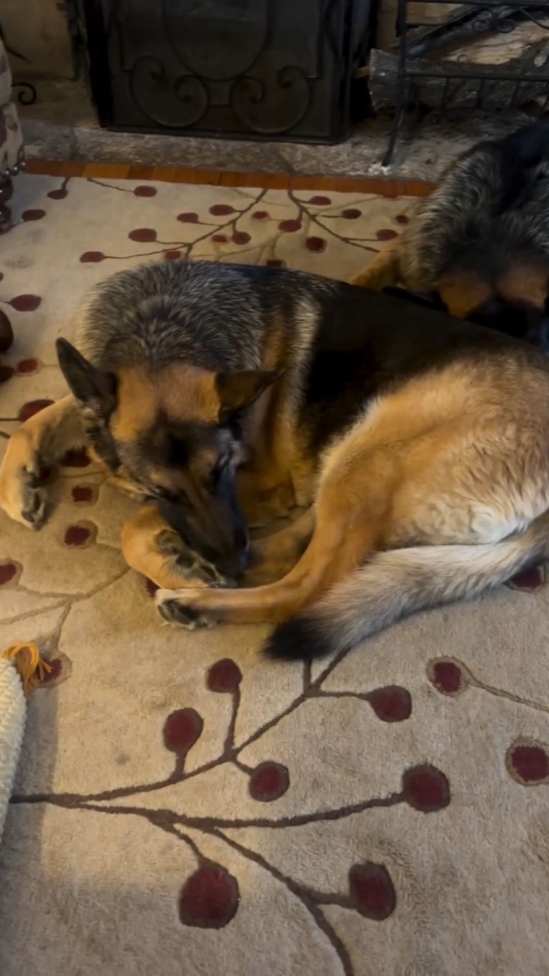When the food is done it is time to relax