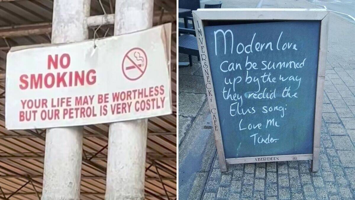 16 signs that used humor to get our attention