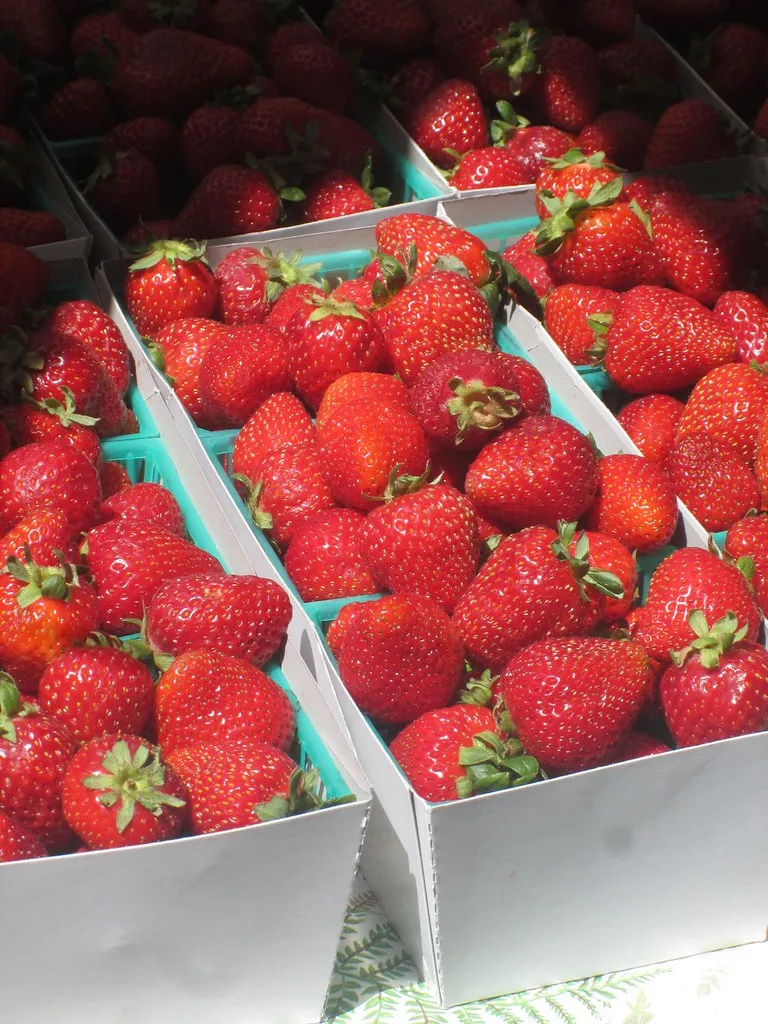 10 hydrating foods that are way more fun than drinking plain water