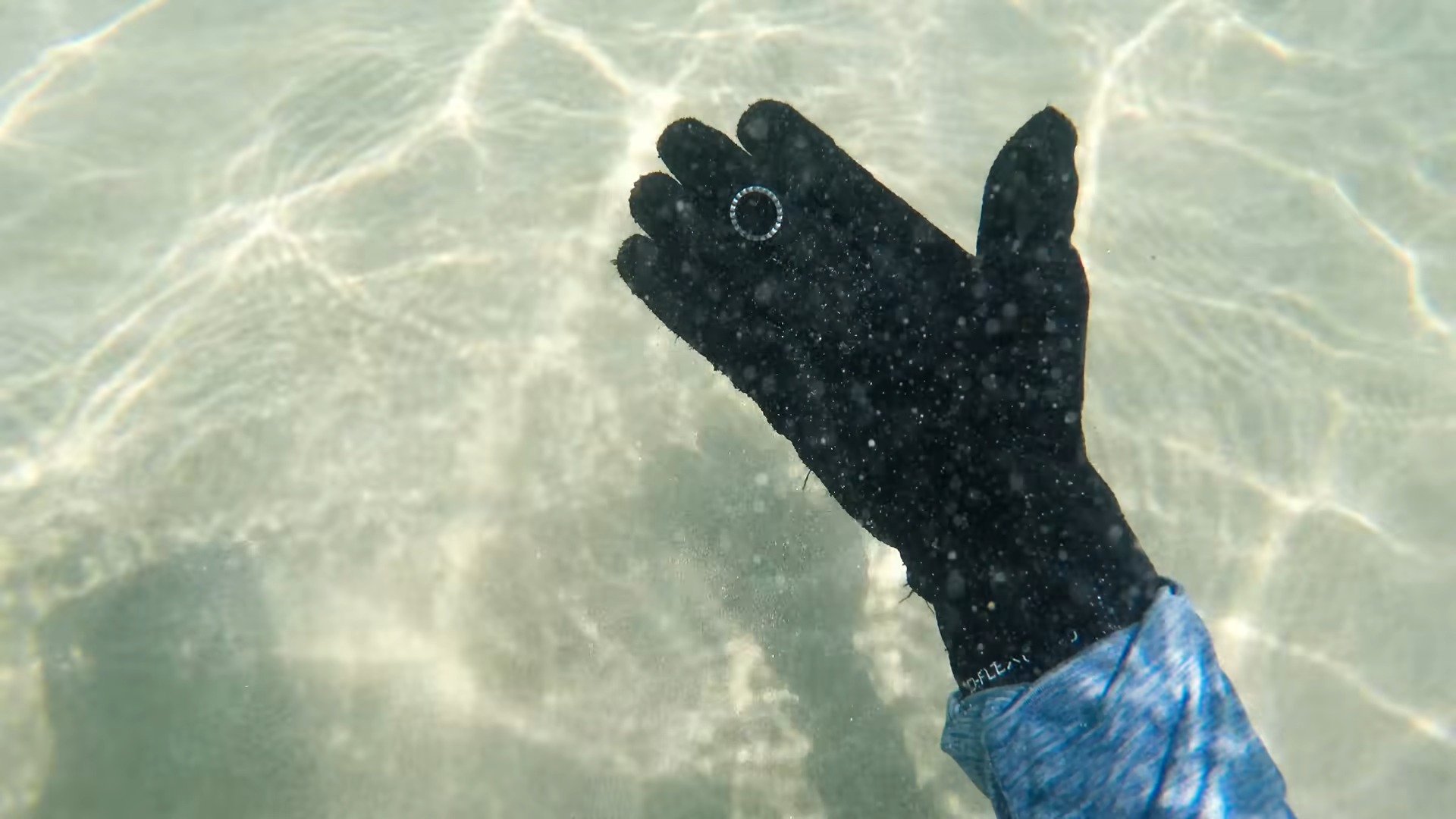 He dove into a crowded Puerto Rico beach - then pulled up the most ...