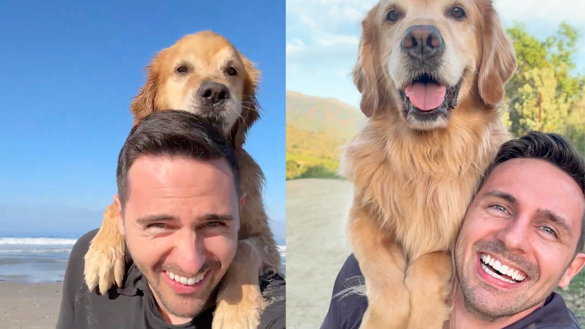 California dog selfies done right