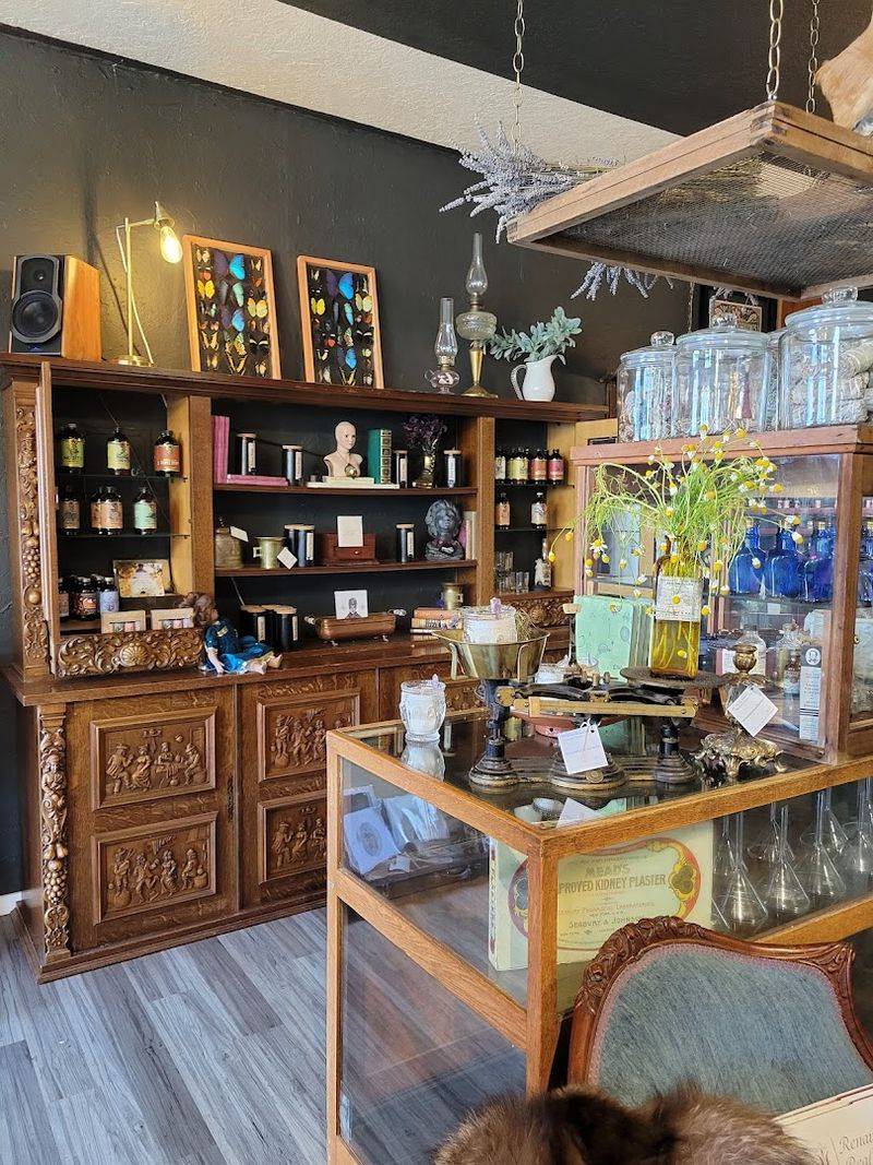 10 mystical Oregon oddities shops that feel like stepping into a ...