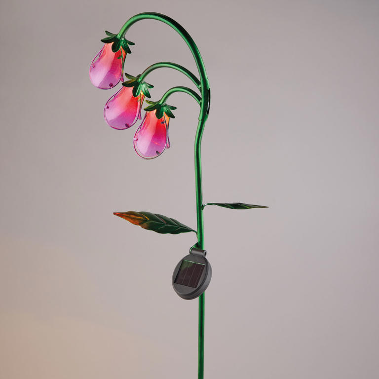 Aldi’s enchanting garden range will make your outdoor space look ...