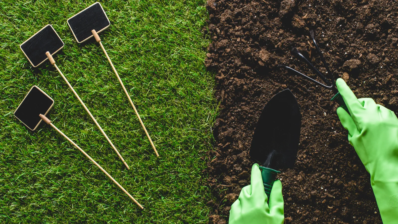 When to plant grass seed this spring in your region