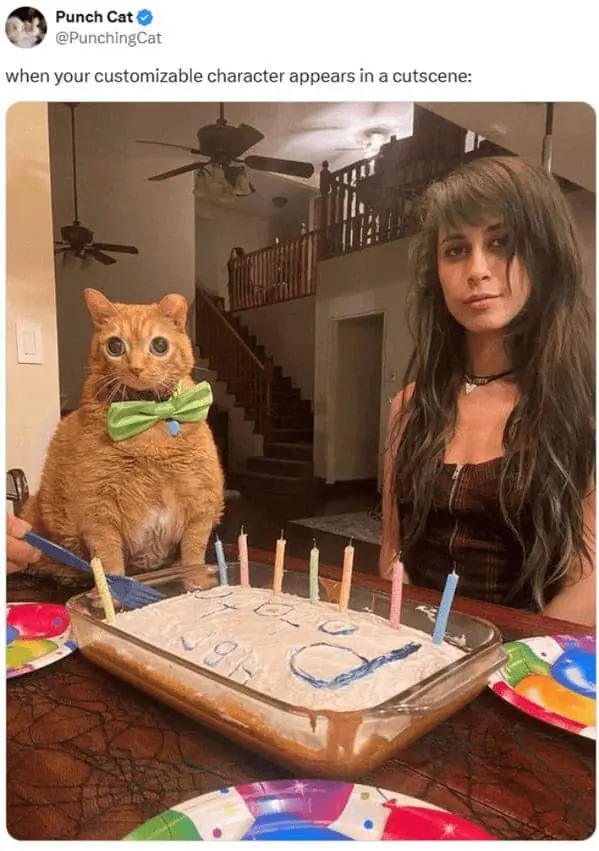 30 cat memes every cat lover can relate to