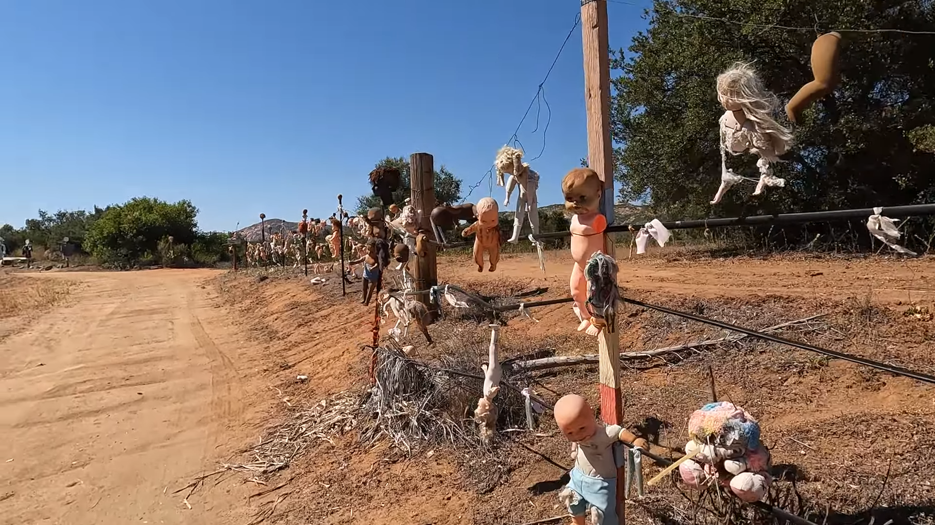 The Further We Went on Dead Dolly Lane – The Worse It Felt