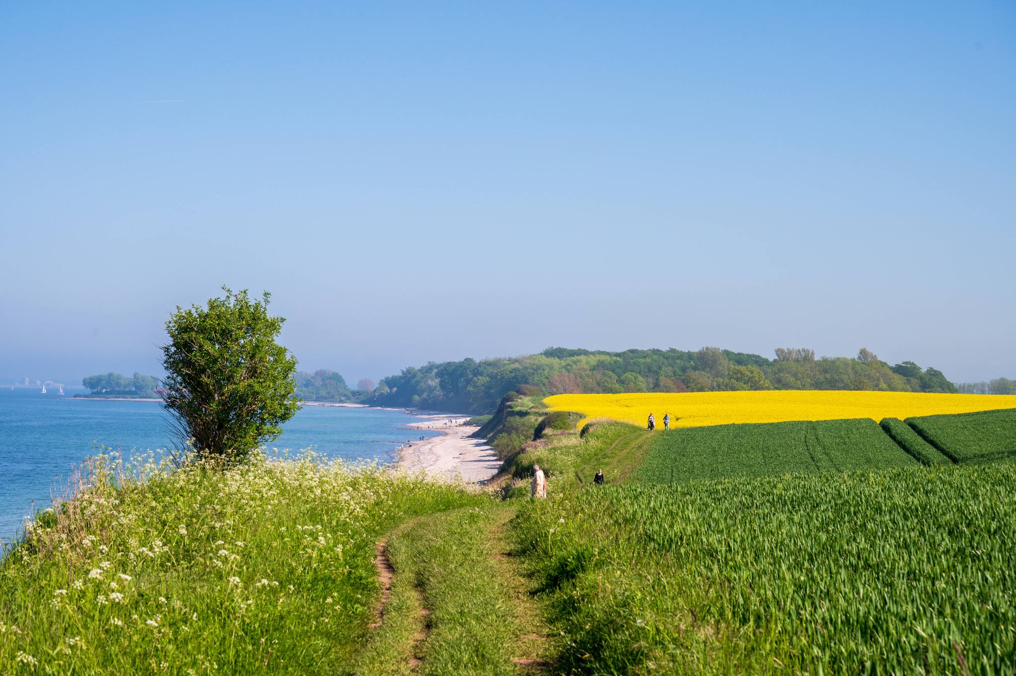 5 schöne Reiseziele für einen Deutschland-Urlaub im Mai