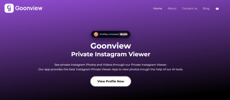 The 6 best private Instagram viewer tools (review 2026)