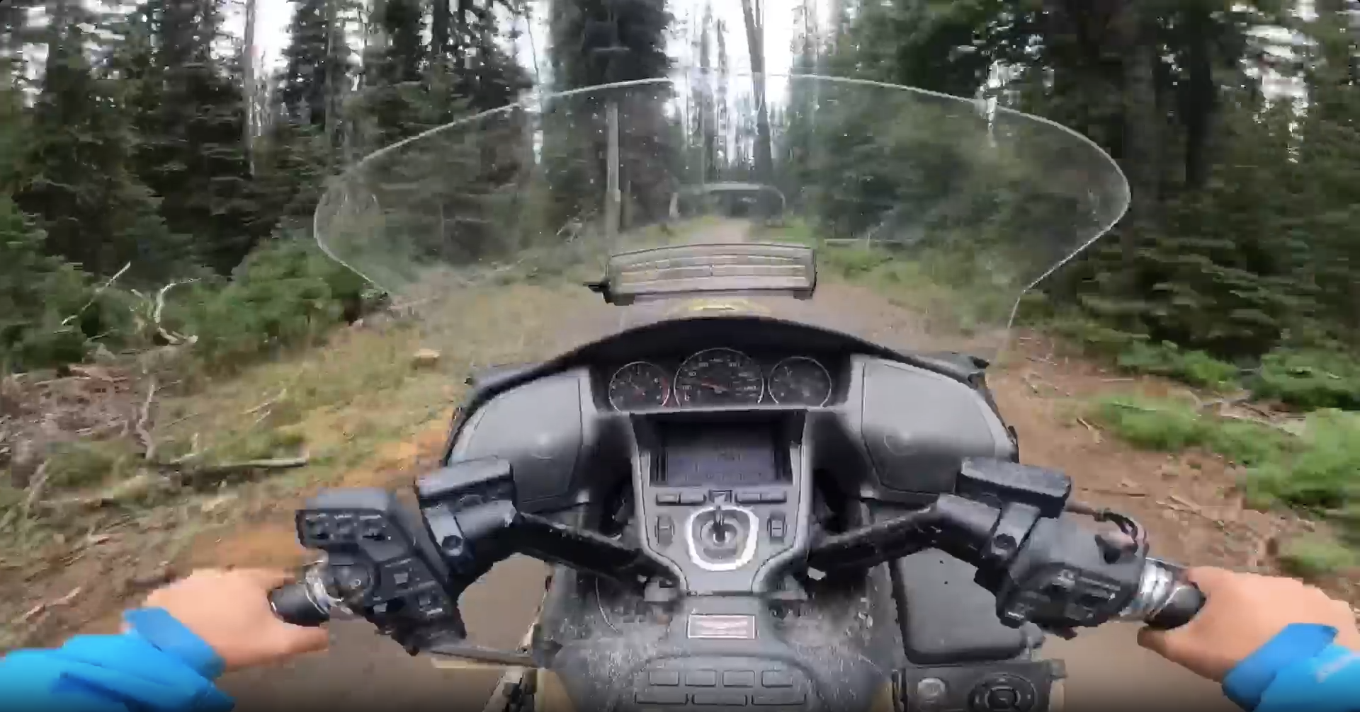 I conquered 1,000 miles on a Goldwing 🏍️