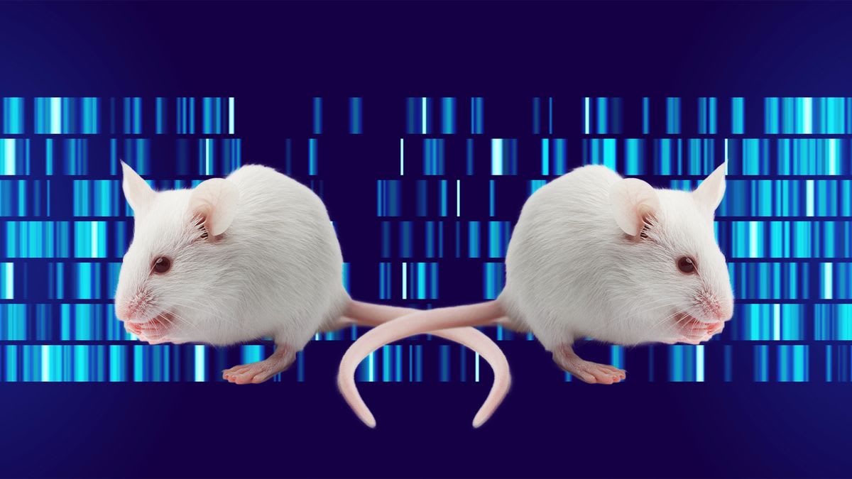 You can't make a clone of a clone, of a clone, of a clone... at least ...