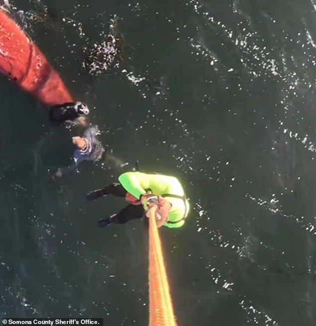 California woman meets tragic end after suffering freak accident while ...
