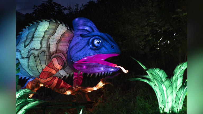Wild Summer Lights returning to Mesker Zoo in July