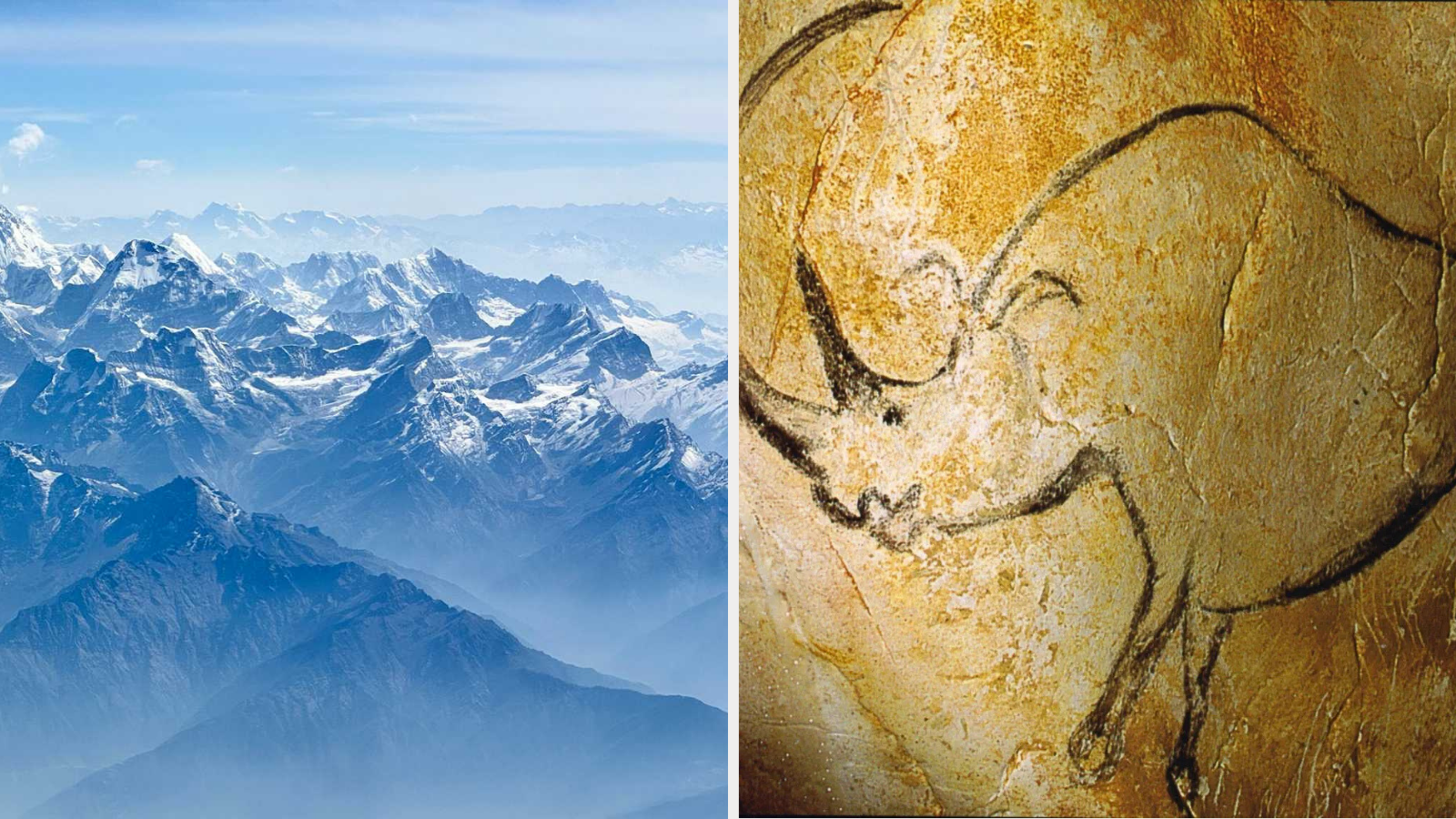 21 super cool facts about the Ice Age