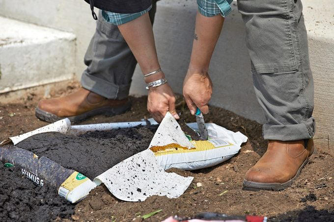 Potting mix vs garden soil: What’s the difference?
