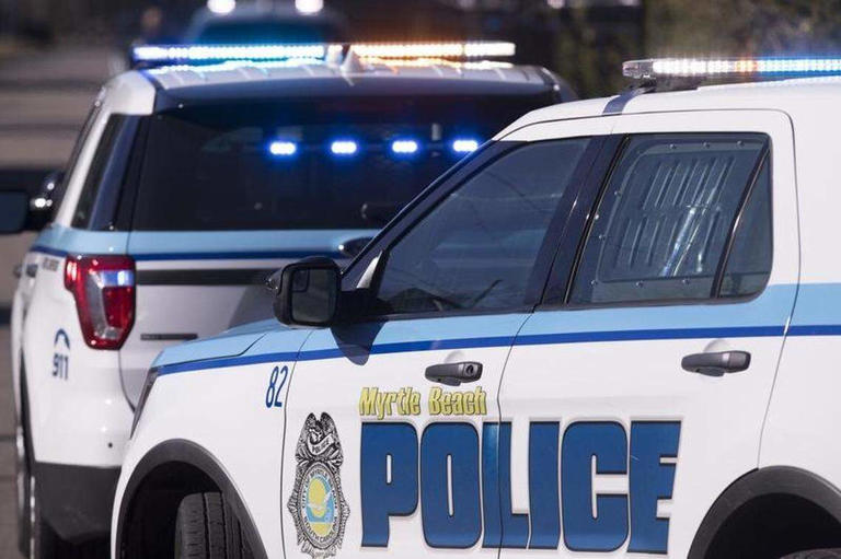 Myrtle Beach police officer points gun at worker over microwaved fish ...