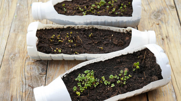 Transform empty plastic bottles into a simple herb garden for next to ...