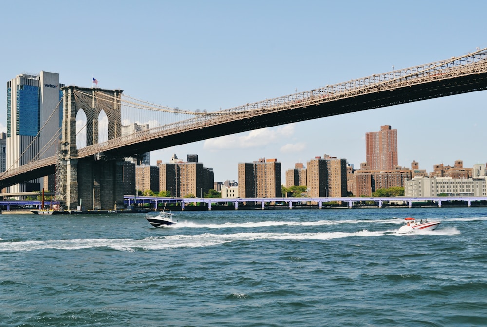 Images of unique bridges you must walk across once