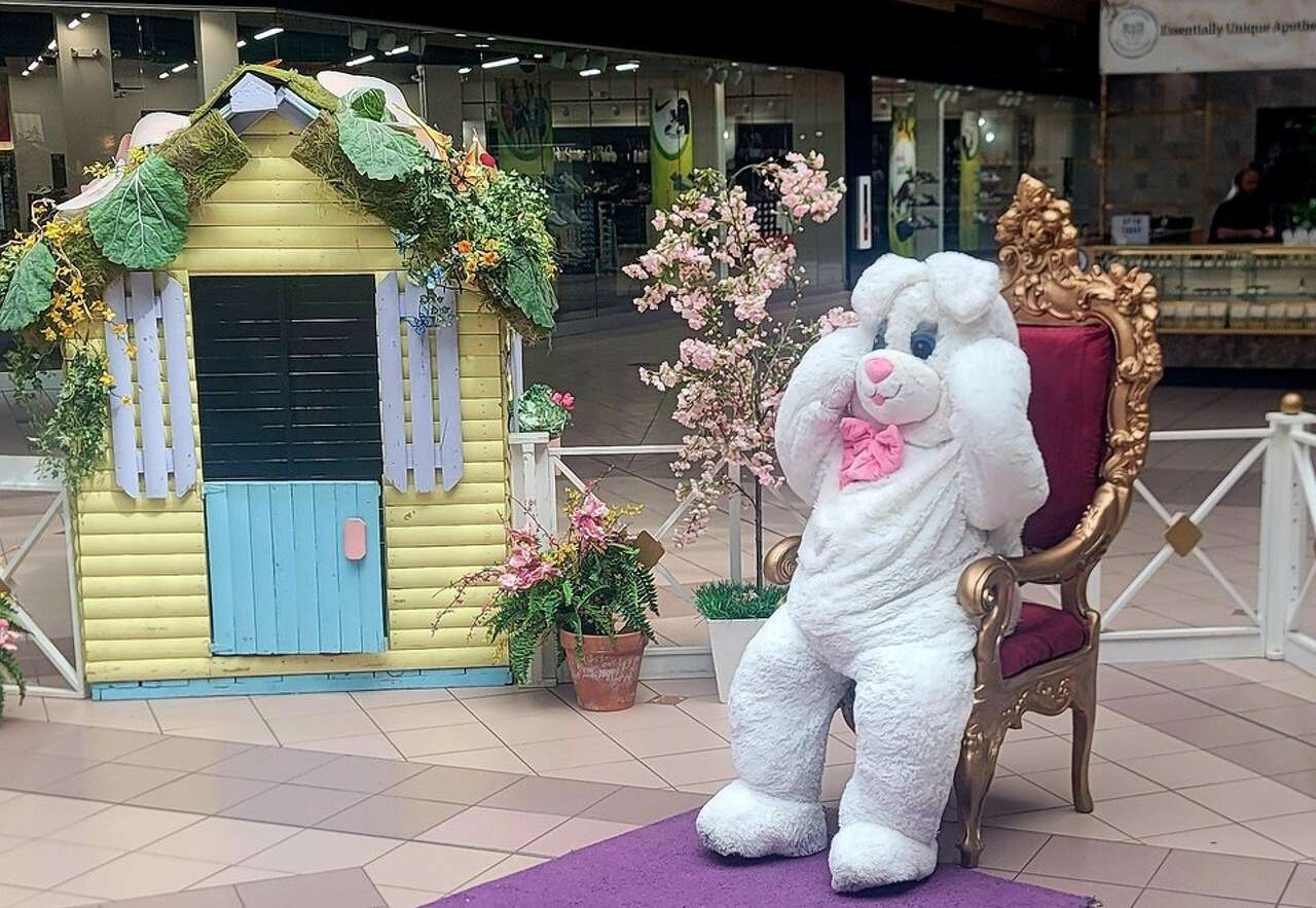 Here’s when you can visit the Easter Bunny at Midland Mall
