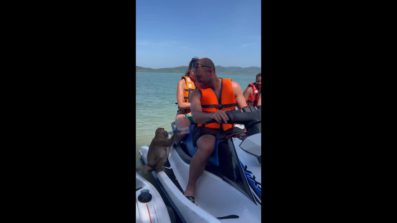 Wild monkey steals tourist's water as he rides jet ski