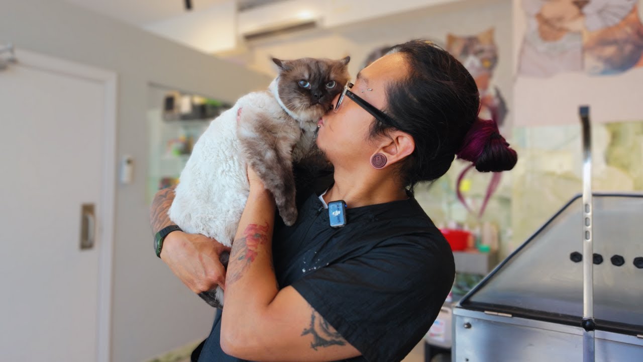 Helping Bougi stay calm during grooming