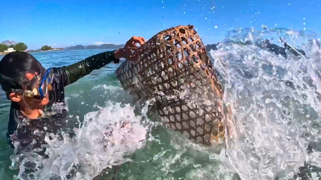 Je suis émerveillé par la vie sous-marine!