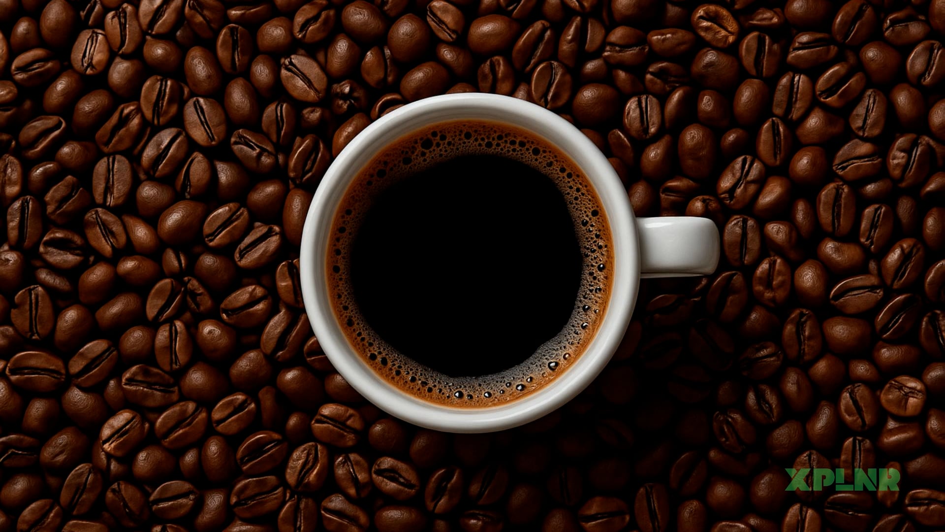 Why does caffeine wake you up?