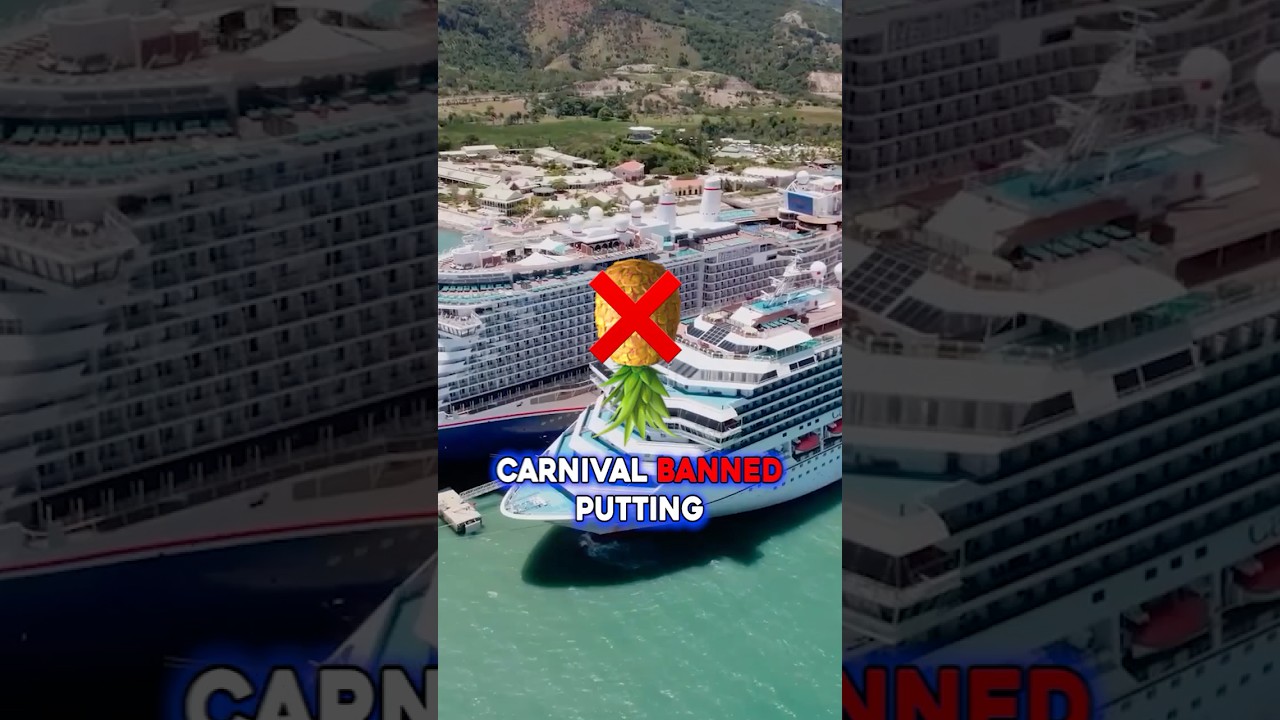 Why cruise door decorations are banned!