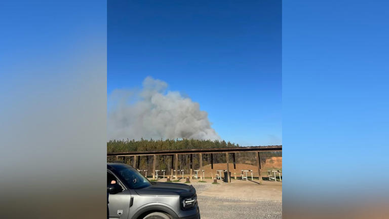 Wildfire burns nearly 300 acres at South Sandy Shooting Range in Moundville