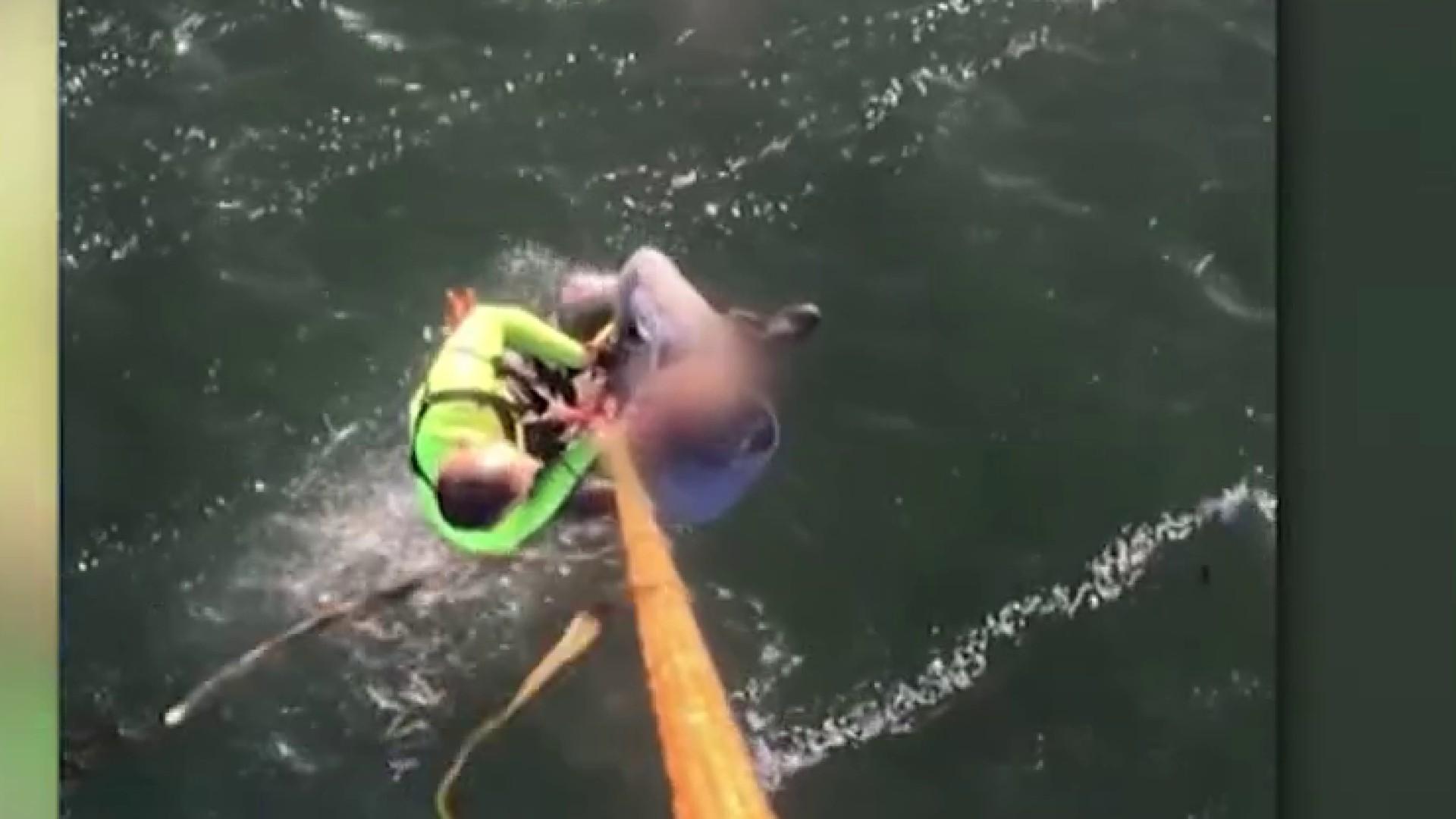 Woman from Los Angeles dies after kayak capsizes in Tomales Bay