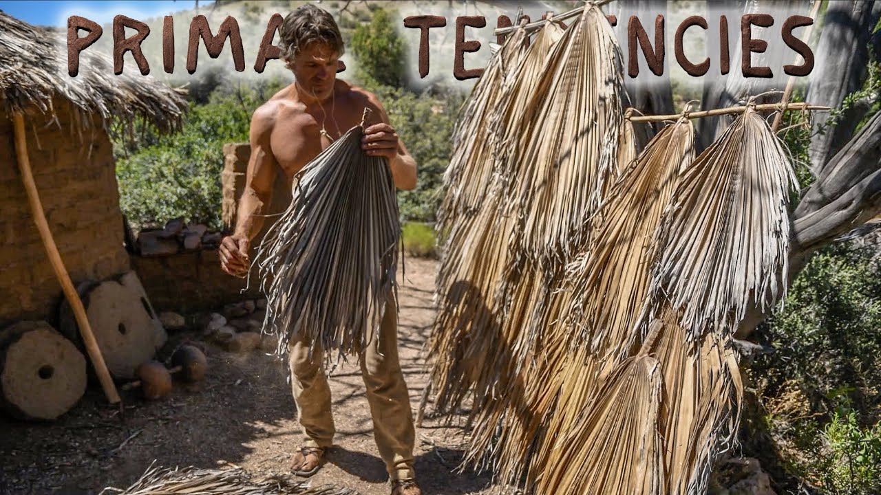 I built a palm leaf shelter: does it really work? 🌴