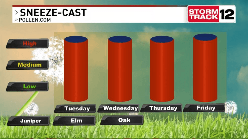 Why the yellow pollen covering your car may not be causing your allergies