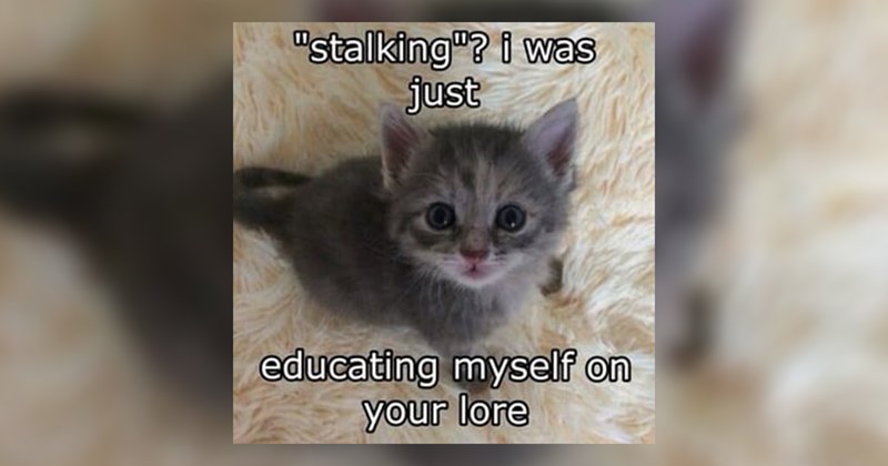 'We still talk about you': 28 memes toughing it out