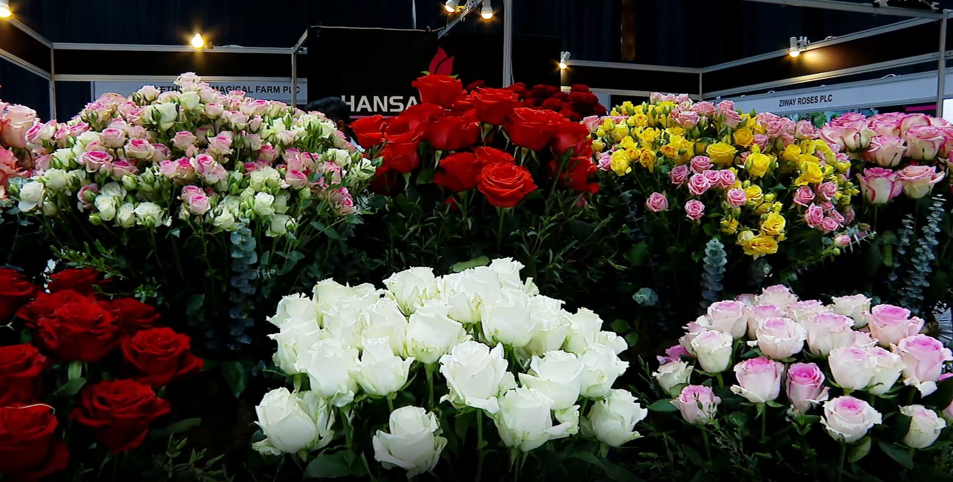 Government intensifying efforts to boost horticulture production, says ...