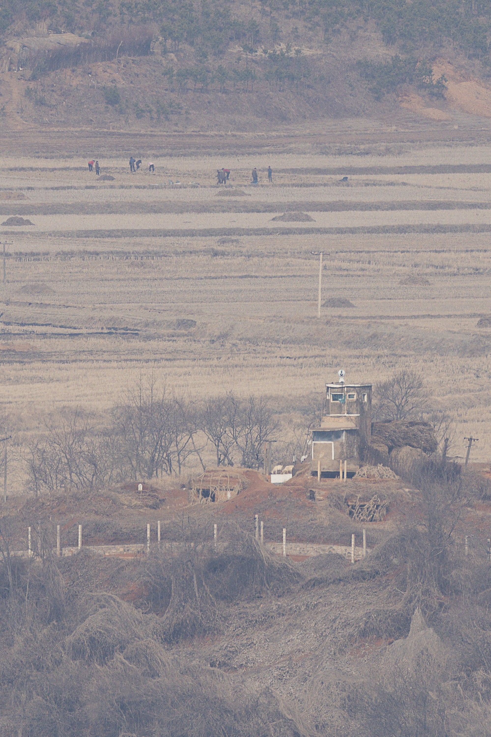 Rights group exposes North Korea’s forced labour scheme that reaps US ...