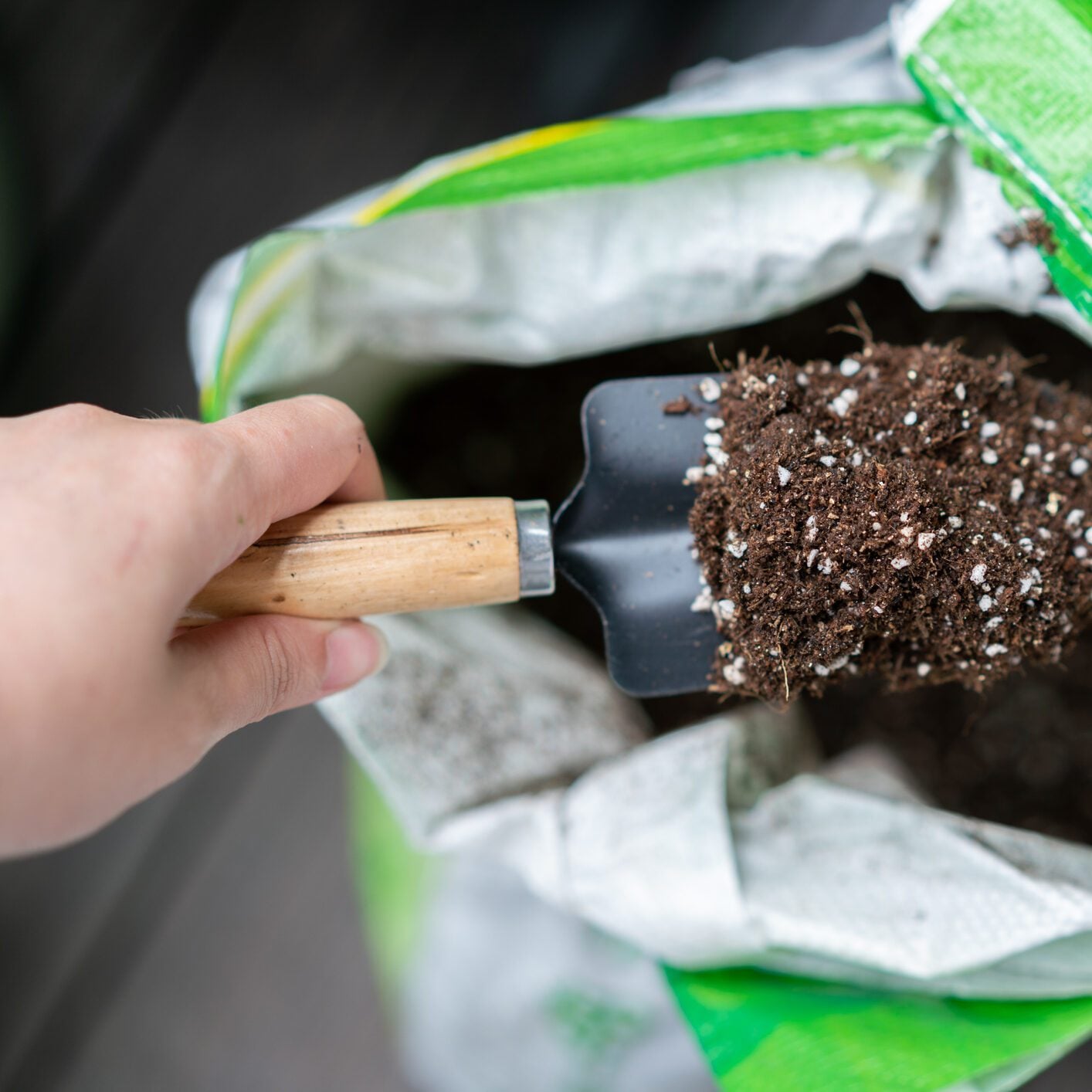Potting mix vs garden soil: What’s the difference?