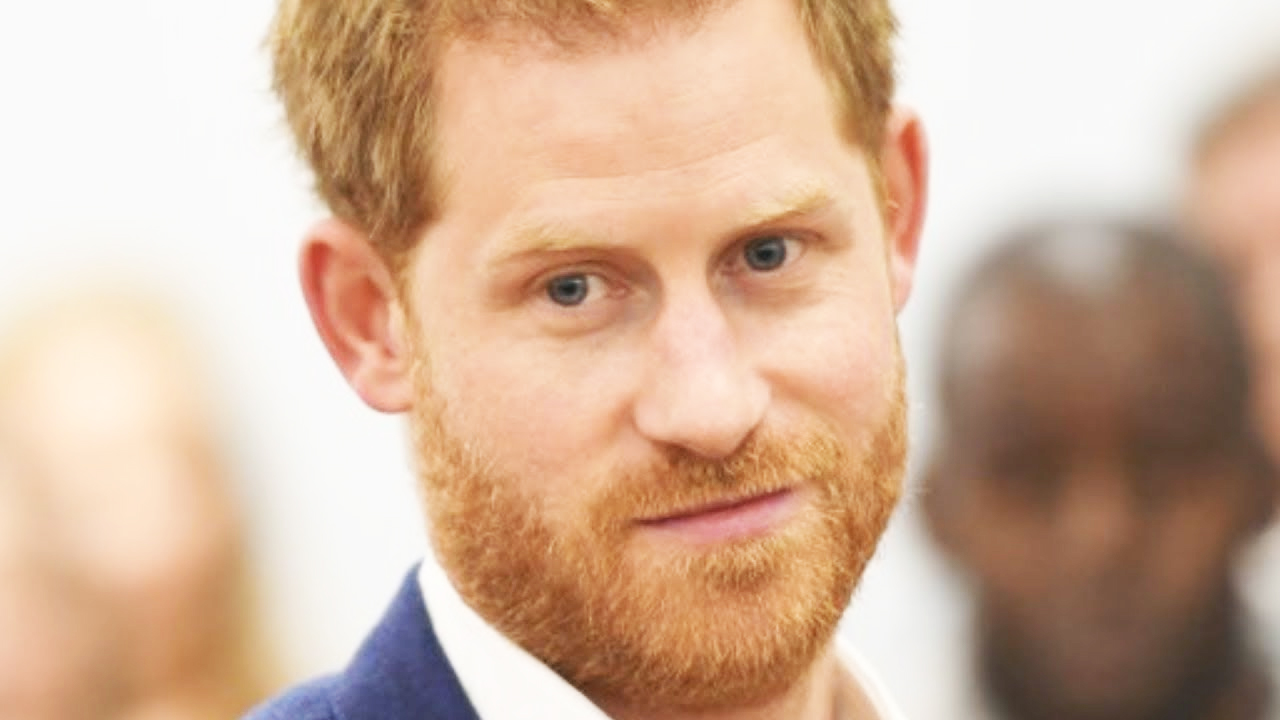 Prince Harry received multiple warnings regarding Meghan Markle for ...