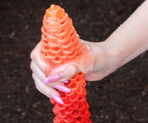 Planting hacks you'll wish you knew sooner!