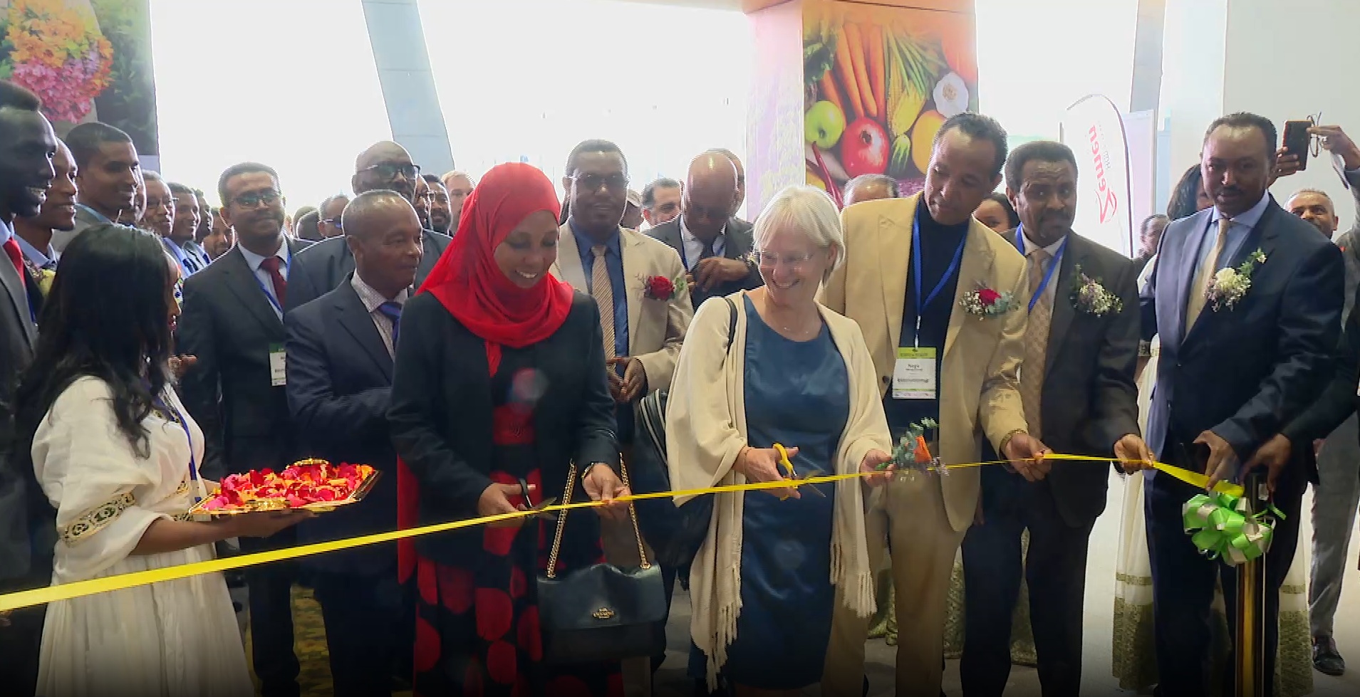 Government intensifying efforts to boost horticulture production, says ...