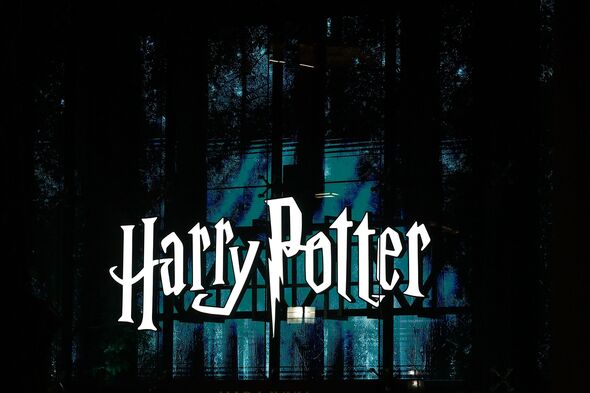 Harry Potter fans fear 'woke propaganda' after first look at HBO series