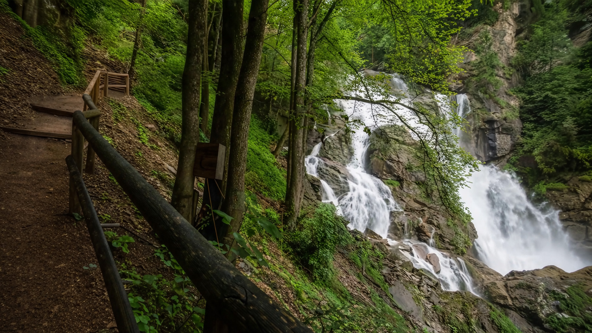 Walking Groppensteinschlucht Austria waterfall trail (4K)