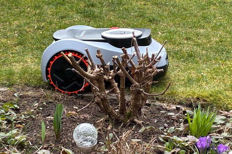 Mähroboter im Test: Nur ein Modell schafft die Bestnote bei Schnitt und ...
