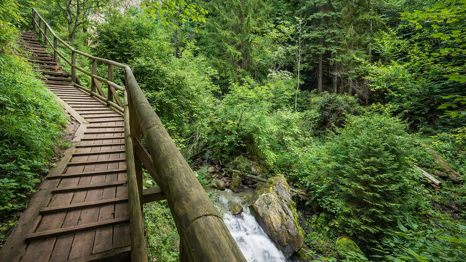 Groppensteinschlucht – vandringsled genom ravinen i Österrike (4K)