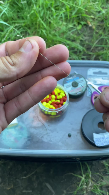 Best carp rig methods for more catches